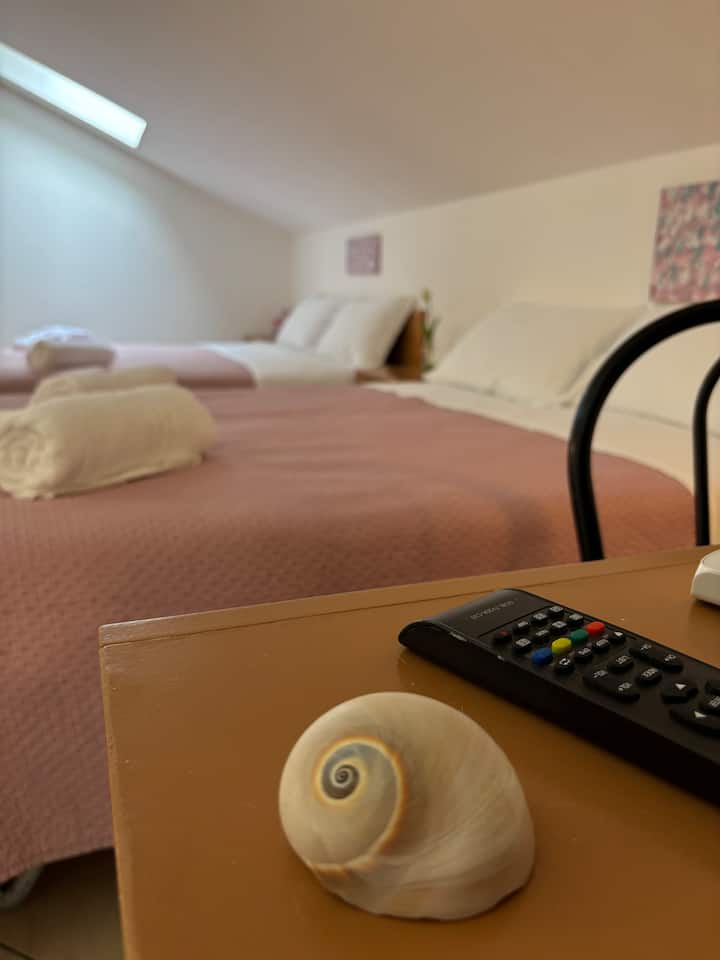 Hotel Dream - Relax, Confort A Miramare - Rímini