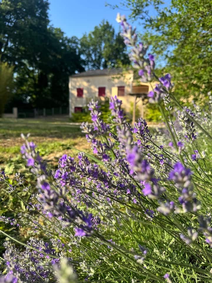 Grand Gîte 10 Min. De Bergerac *Détente Et Nature* - Périgord