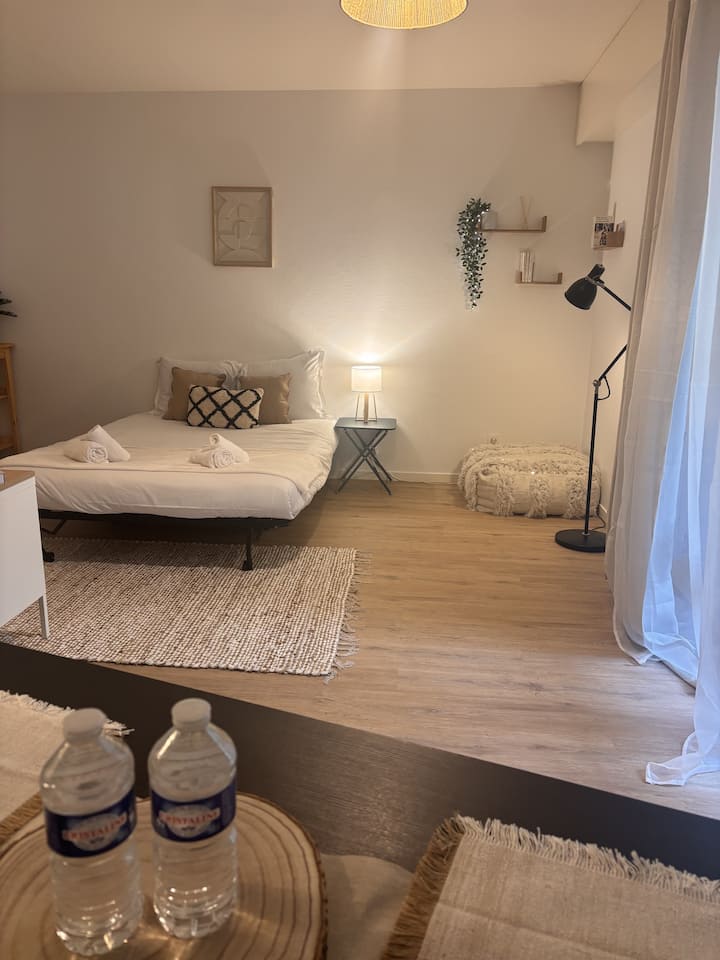 Petit Cocon Au Bord De L'erdre-hyper Centre Nantes - Saint-Sébastien-sur-Loire