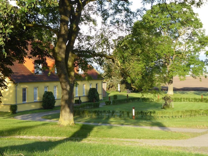 Galerie Mitte By Interhome - Hiddensee