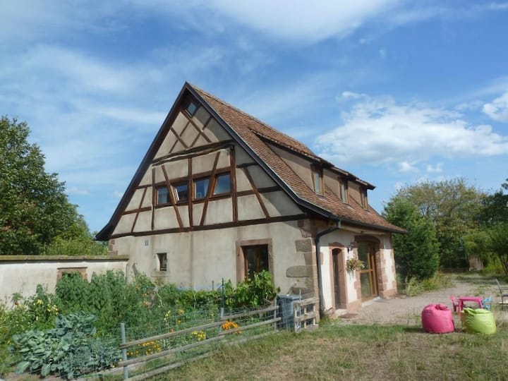 Domäne Mit Terrasse, Grill Und Garten By Interhome - Saverne