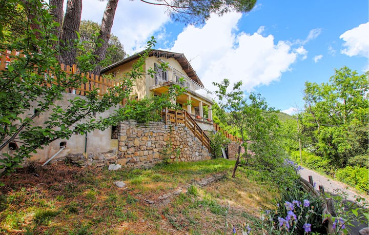 Wood House - Mialet