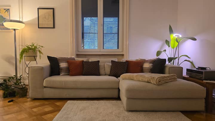 Stylish 105sqm Apt W/ Home Cinema, Close To Center - Basel