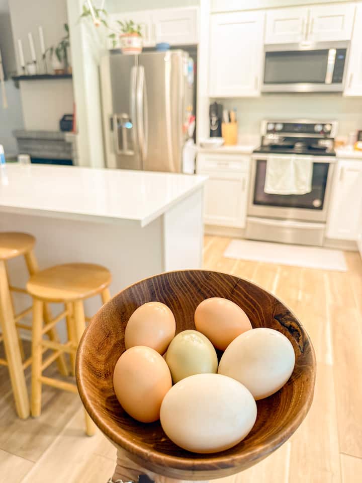 Eco-friendly Family Stay With Fresh Eggs And Canoe - Anchorage