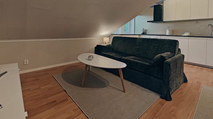 Lägenhet Nära Vänern Och Köpcenter! - Karlstad