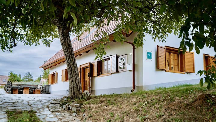 Bazaltorgona 37 - Balatonmáriafürdő