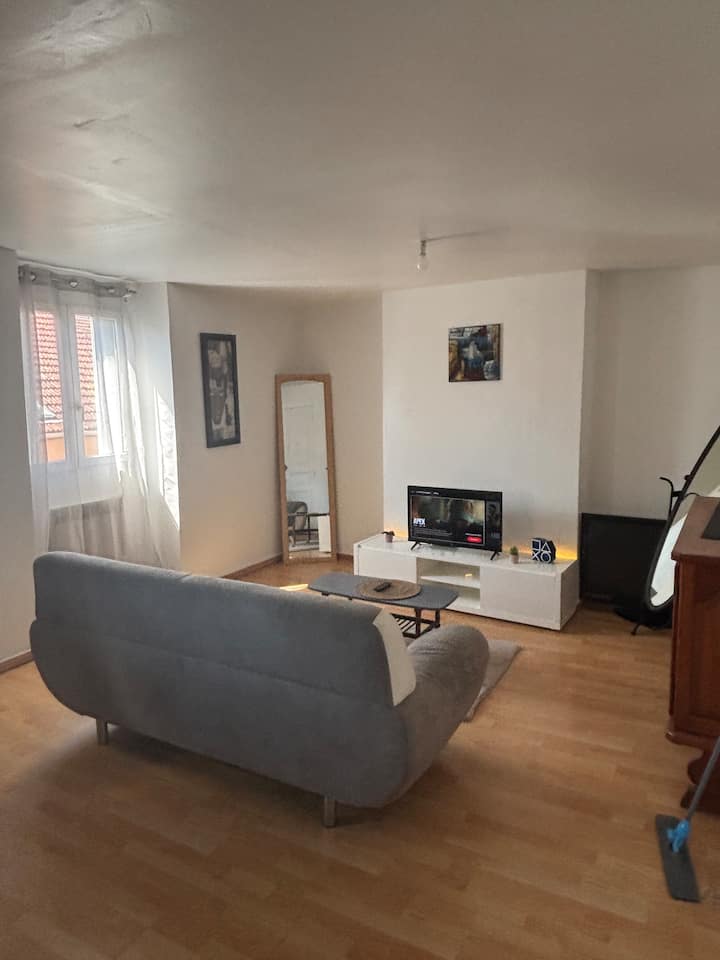 ÉLégant Appartement Au Cœur De La Ville - Romilly-sur-Seine