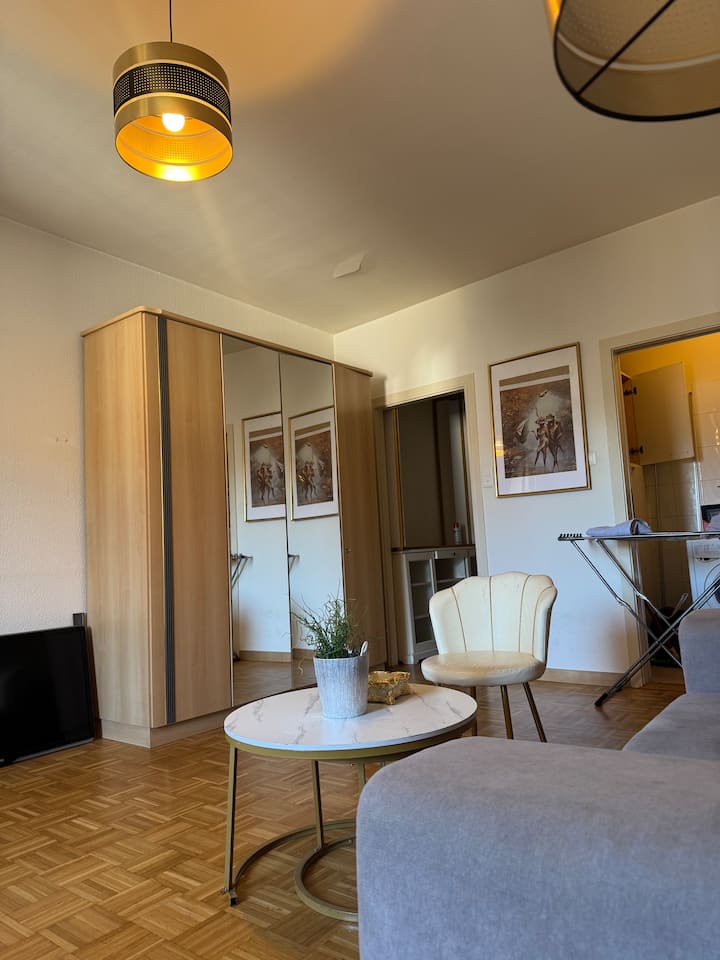 Très Beau Studio Au Centre De Genève, 2 Min Du Lac - Geneva