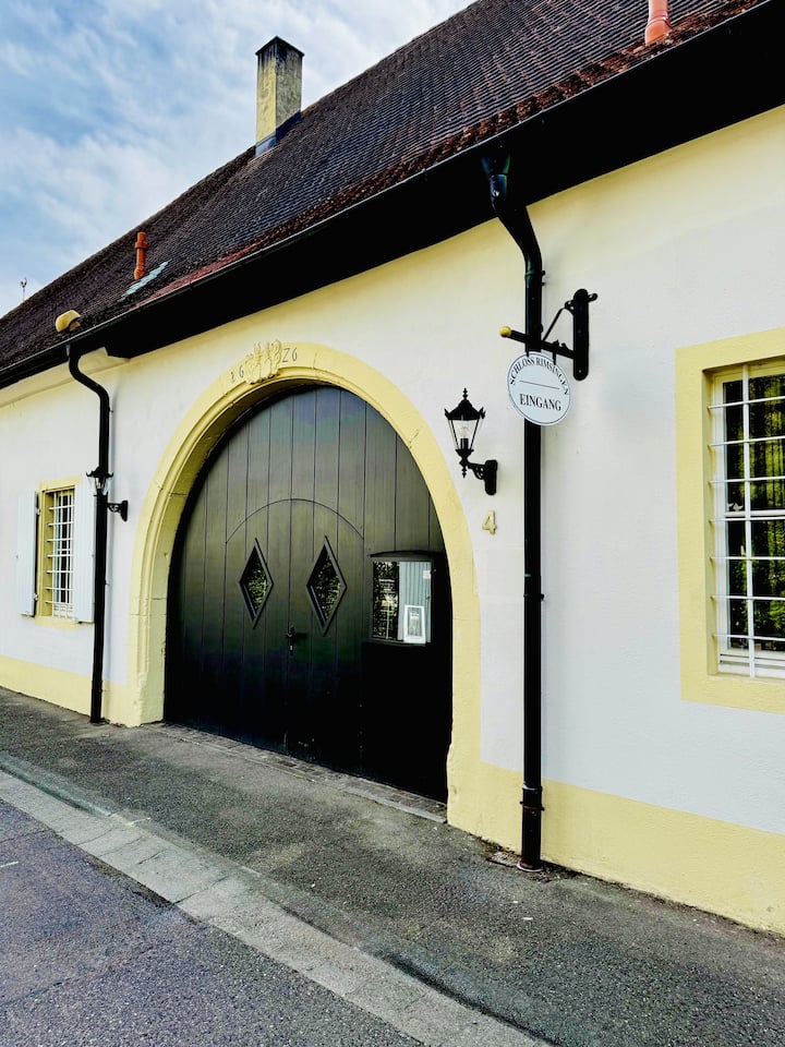 Studio-premium-salle De Bain Privée-terrasse - Bad Krozingen