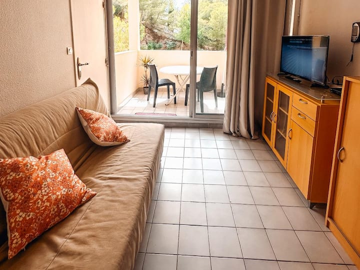 Charmant T2 Climatisé. Résidence Avec Piscine - Sète