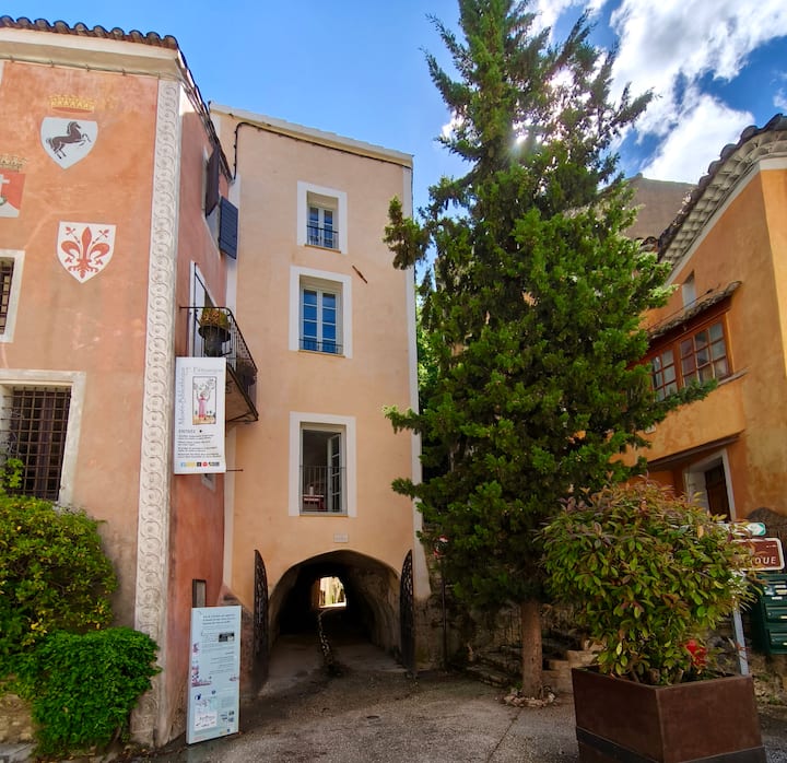 Maison Provençale Centrale à Fontaine De Vaucluse - Gordes