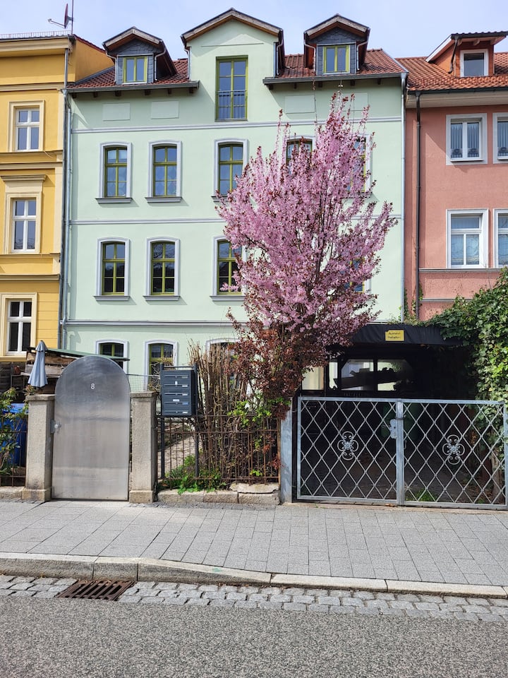 Ferienwohnung Reiki Im Herzen Meiningen's. - Meiningen