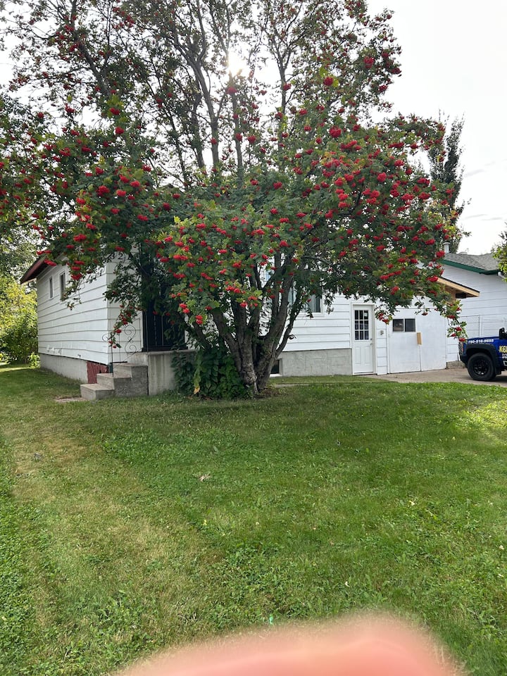 Downtown Den - Slave Lake