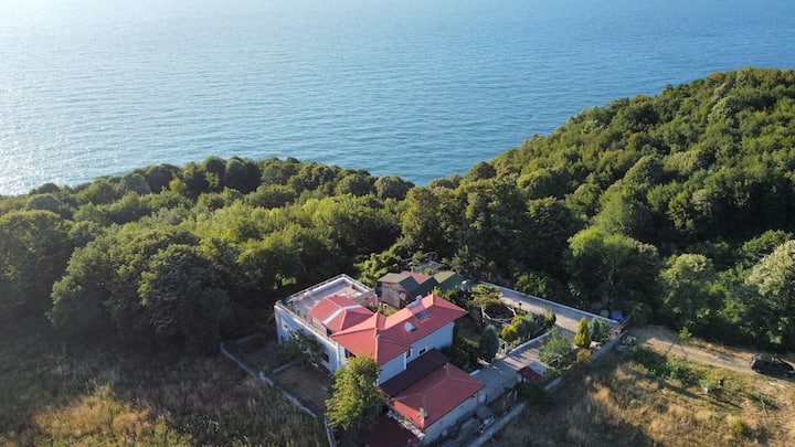 Doğanın Kalbinde Havuzlu Villa - Zonguldak