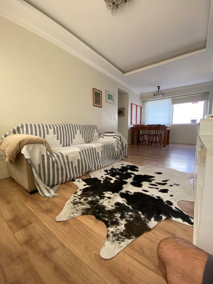 Lindo Apartamento De 2 Quartos Em Montserrat - Porto Alegre