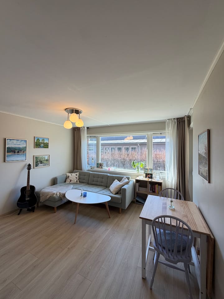 Koselig Leilighet På Ila - Trondheim