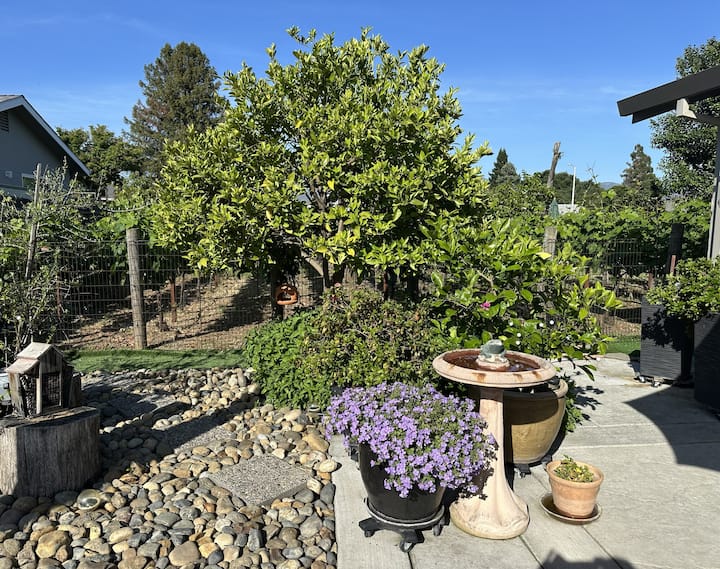 Vineyard House - Minutes To Napa's Music Venue - Napa, CA