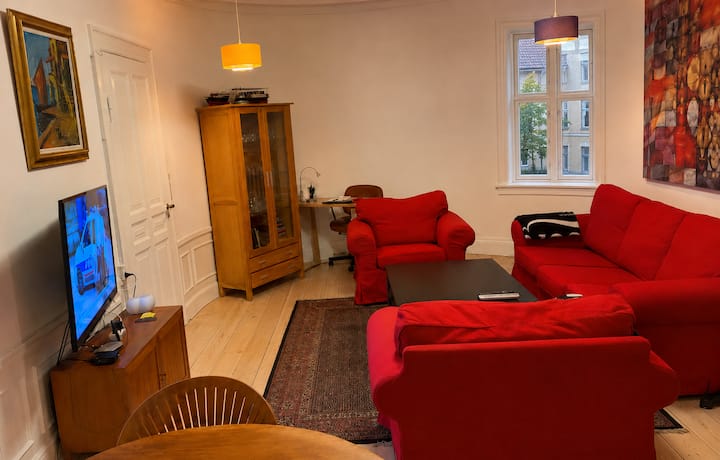 Cosy Hygge Nest In Central Copenhagen - Kopenhaga