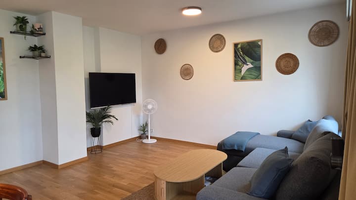 Bright Apartment With Two Parking Spaces - Berne