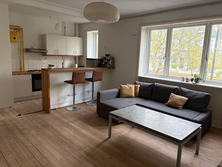 1 Bedroom Near ØSterport Station - Copenhague