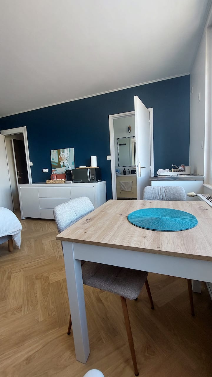 Villa Climatisée, Studio Standing Avec Piscine. - Royan