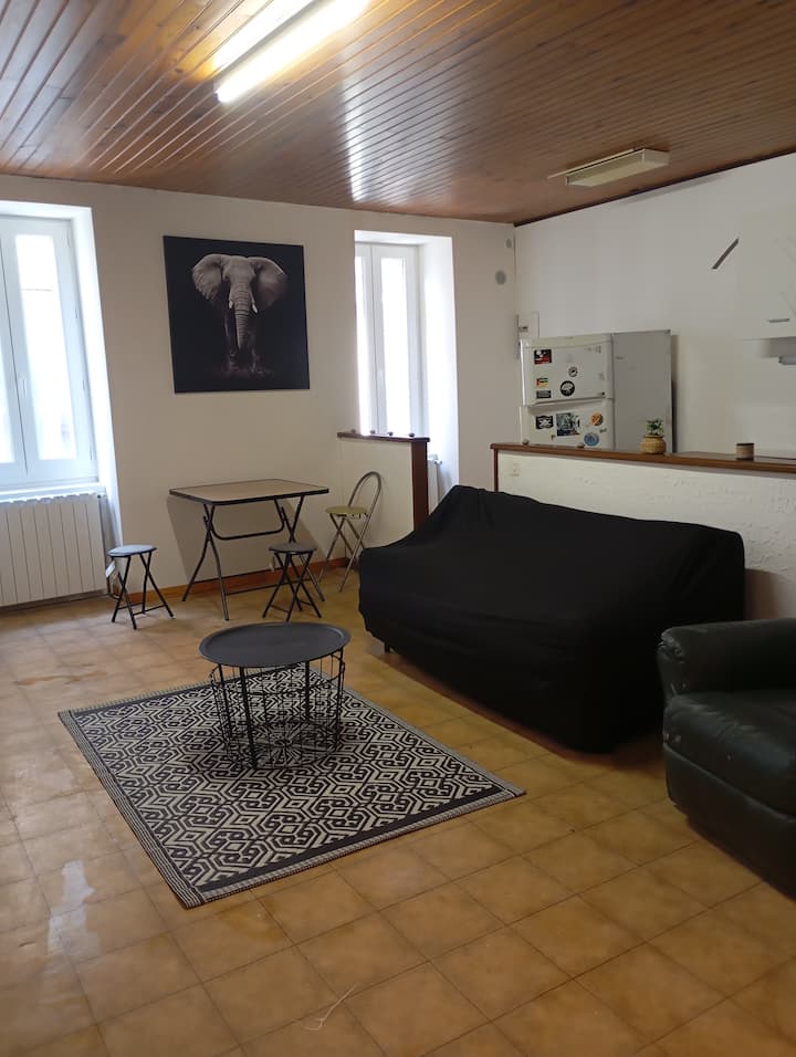 Appartement En Plein Centre-ville Au Calme. - Allègre-les-Fumades
