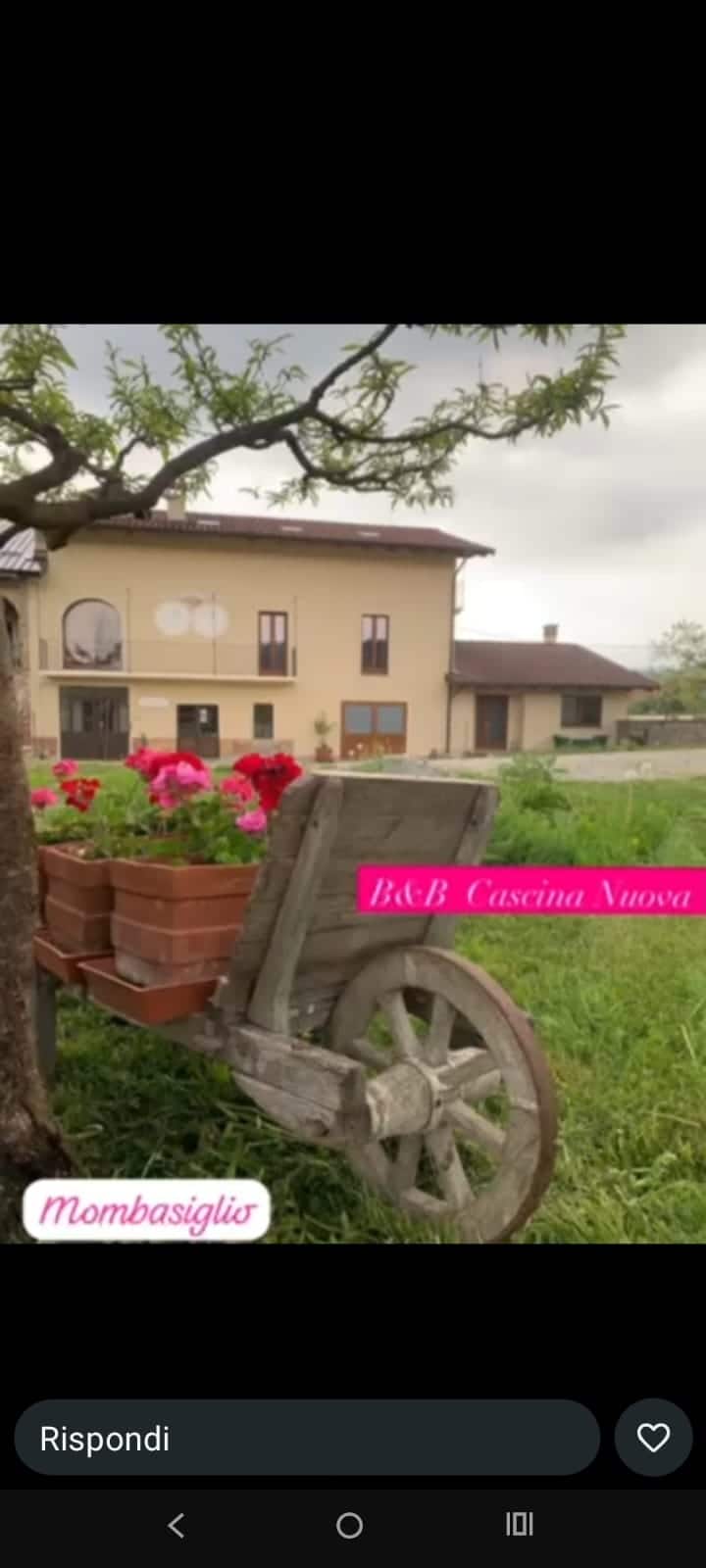 Alloggio Mansarda Tutto In Legno. - Viola