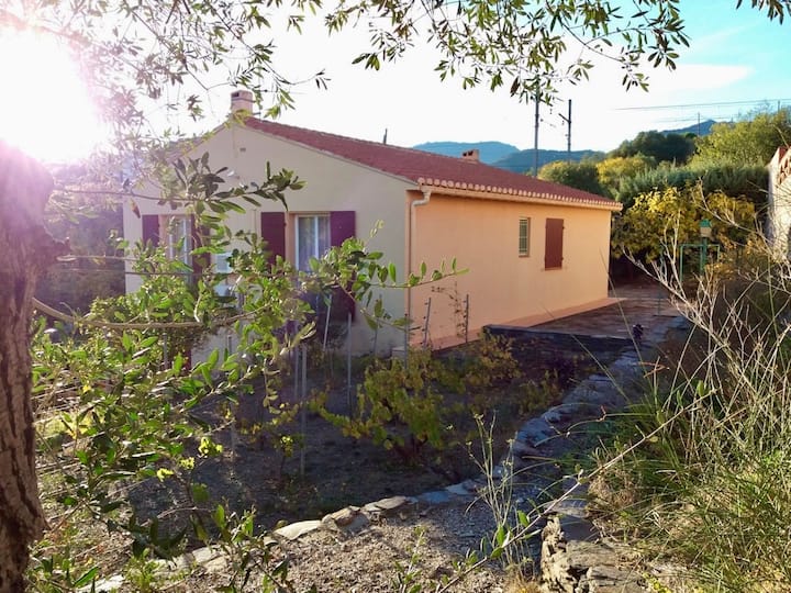 Villa Les Amandiers, Banyuls-sur-mer - Banyuls-sur-Mer