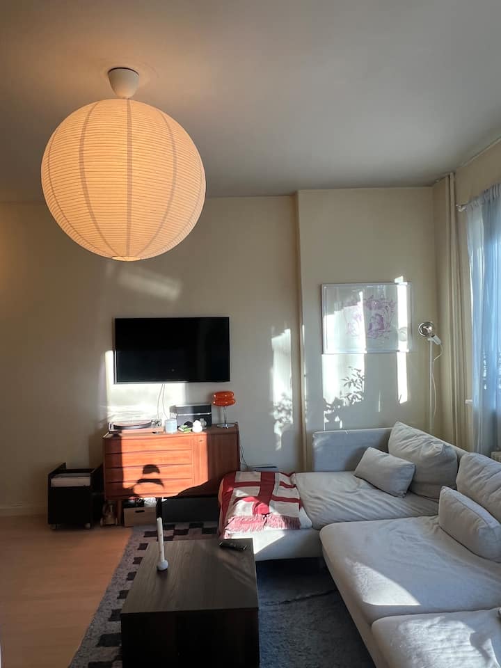 Hjemmekoselig Leilighet Sentralt I Oslo - Oslo