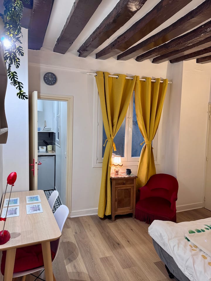 Appartement - Hôtel De Ville - Notre-dame De Paris - Paryż