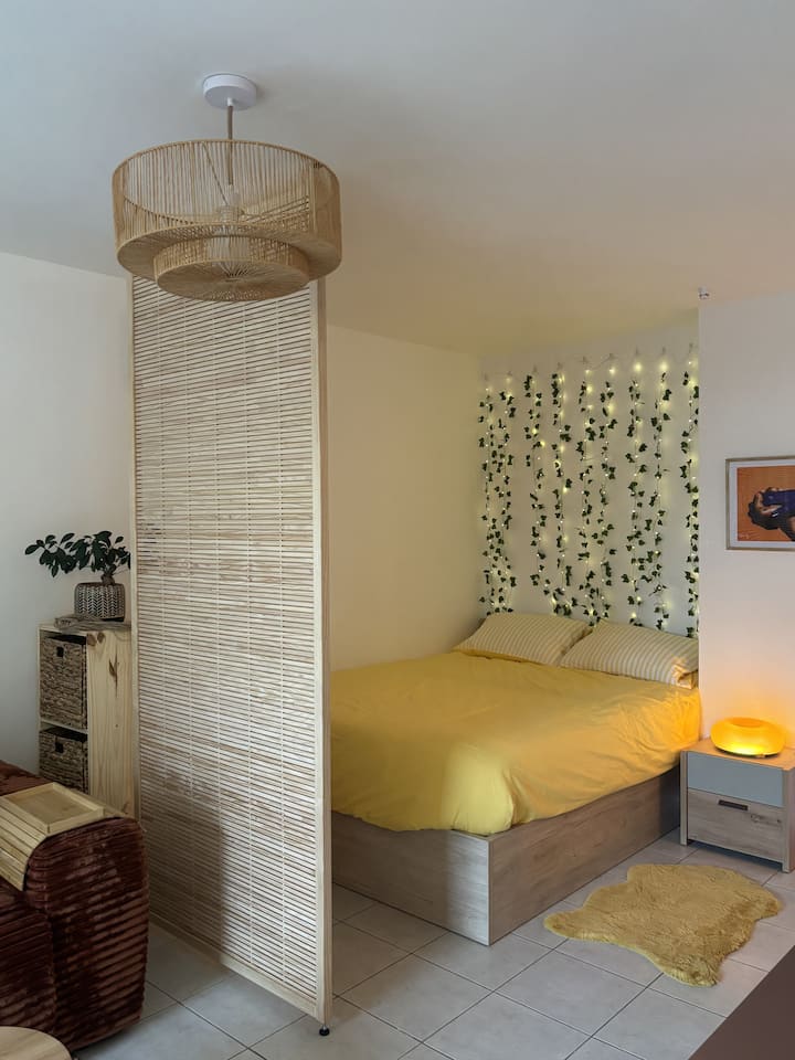 Cosy Studio Rénové à Neuf - Kereliza - Vannes
