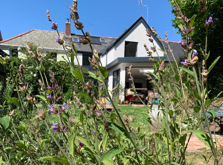 Bakers Cottage, Family House - Dawlish