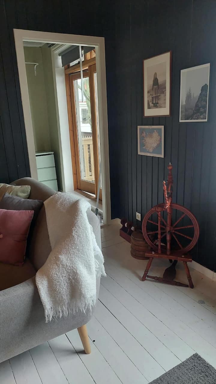 Charecteristic Apartment In The Heart Of Reykjavík - Reykjavík