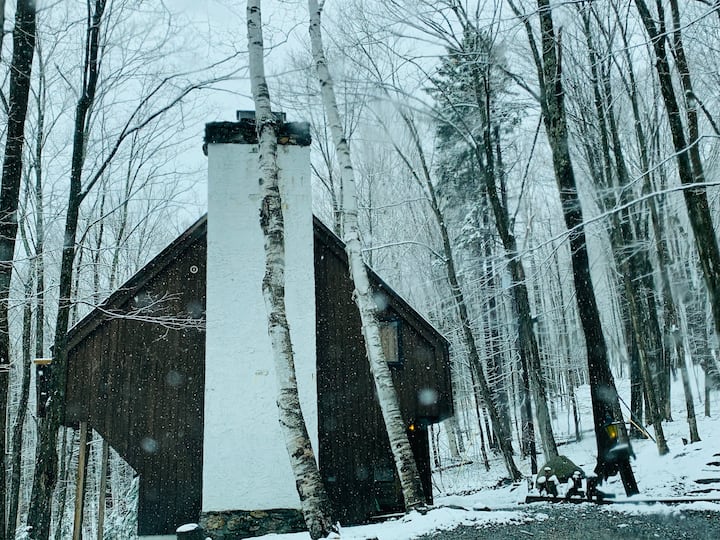Vermont Dream Mountain Cabin. - Vermont