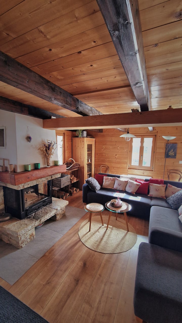 Chalet De Charme Aux Mayens-de-chamoson - Canton du Valais