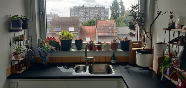 David's Place - Wommelgem