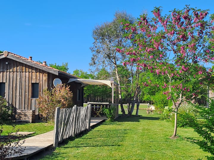 Chalet " L'ile Aux Oiseaux" Domaine De Sophie - Mios