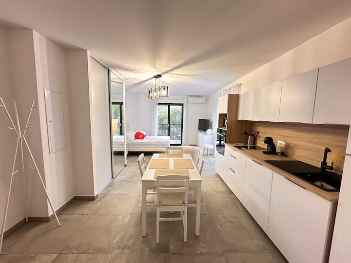 Grand T1 Moderne Avec Place De Parking Privative. - Corte
