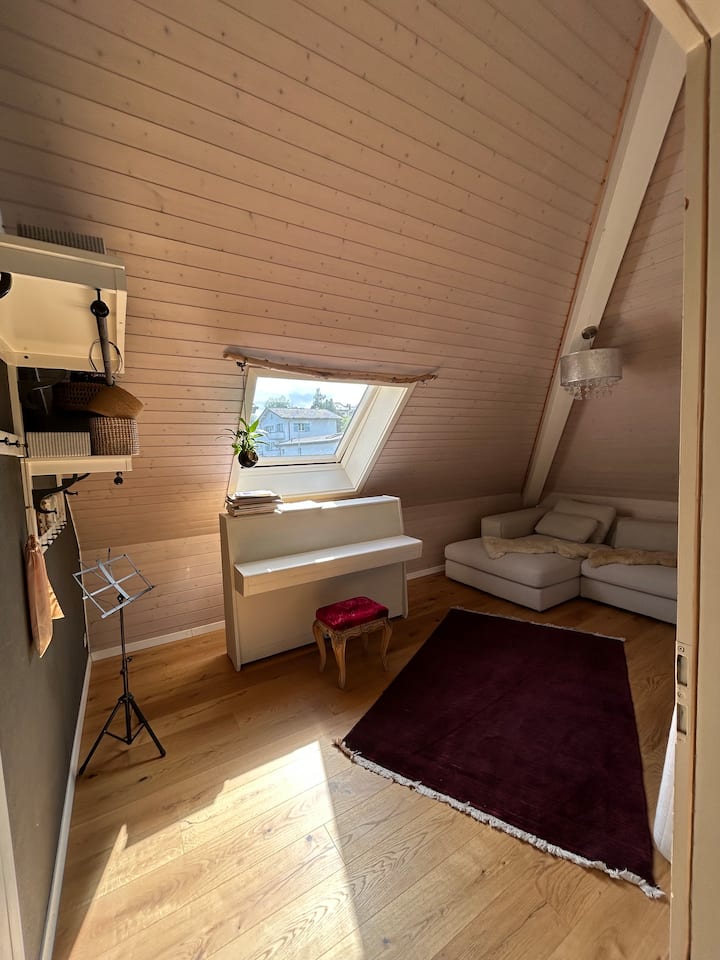 Appartement Dans Maison Charmante - Freiburg