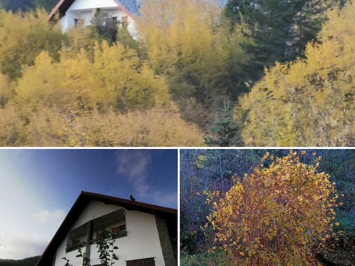 La Perla Dell'alta Via Wohnung Mit Park - Santo Stefano d'Aveto