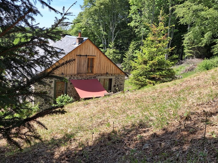 Le Refuge De Charlut - Auvergne Gites 63 - Picherande