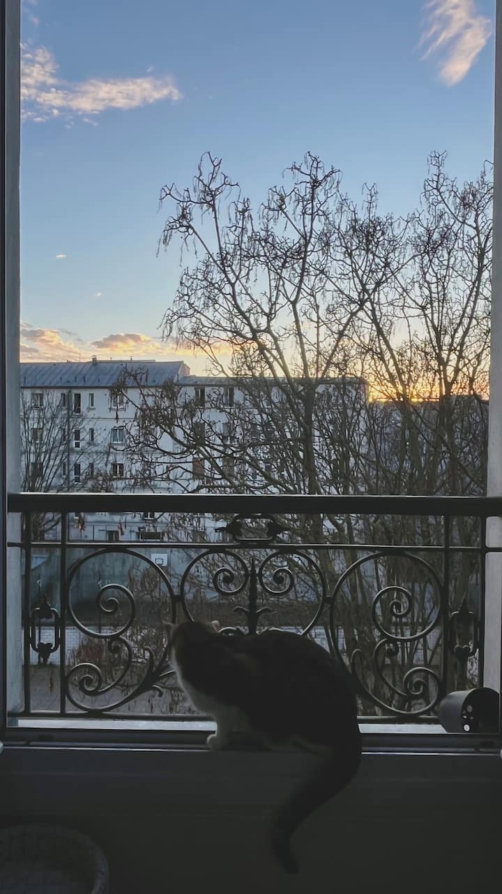 Cozy Paris Appartement Base For Exploring The City - Paris 20e Arrondissement