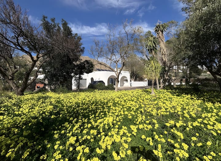 El Olivo - Retamar