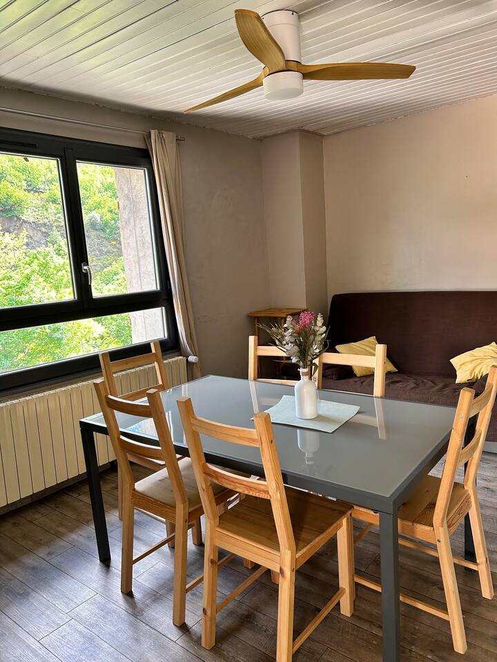 Appartement Avec Chambre Climatisée - Mont Aigoual