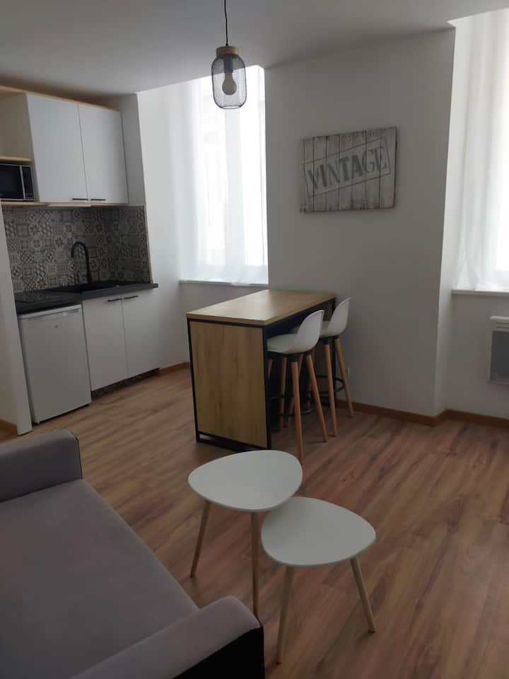 Appartement Centre Ville, Proche Verdun. - Tarbes