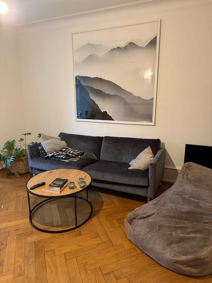 Modern Altbau Apartment - 15min Art Basel - Basel