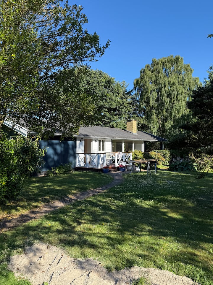 Rådyrly - Sommerhus - Gilleleje