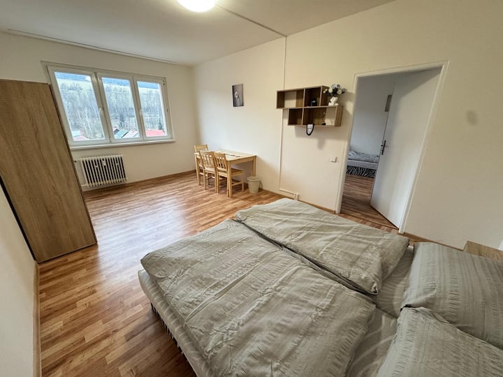 Apartmán Pro 4 Osoby, Kraslice K1 - Klingenthal