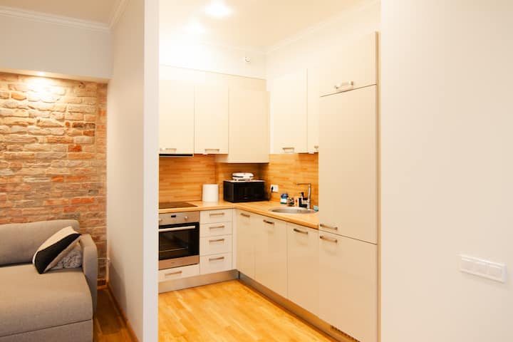 Dzirnavu 113a 1-bedroom Apartment - Riga