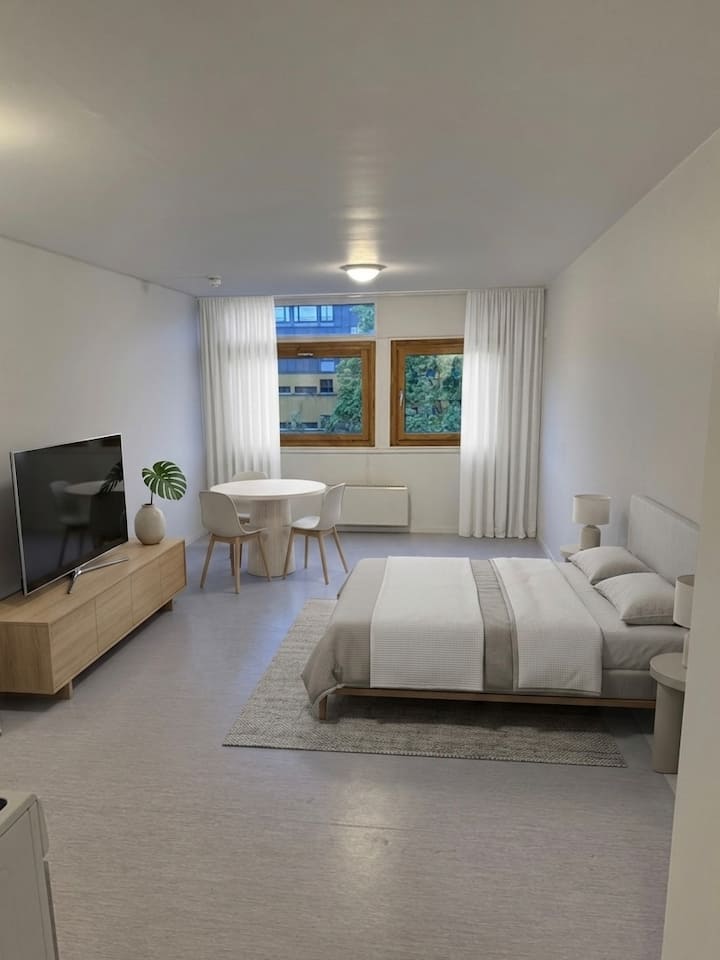 Moderne Studio På Grünerløkka - Oslo